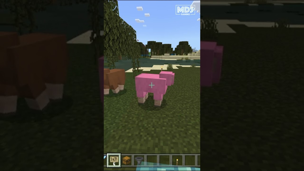Rare Wild Pink Sheep In Minecraft 😄 – Bedrock Meme Survival Realm Xbox ...
