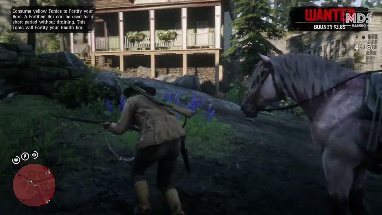 Red Dead Redemption 2 💥 – RDRD 2 Online – Xbox Series X – Gaming ...