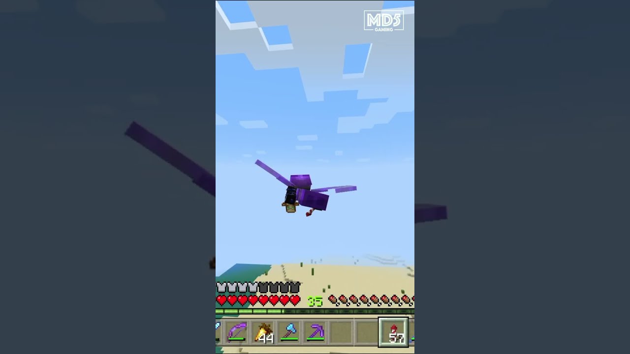 We Built A Black Pyramid Desert Temple 🌵 In Minecraft Survival ...