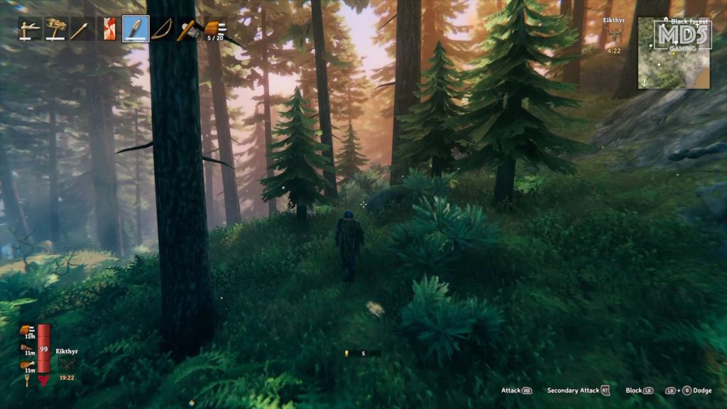 Valheim Black Forest Biome – MD5 Gaming
